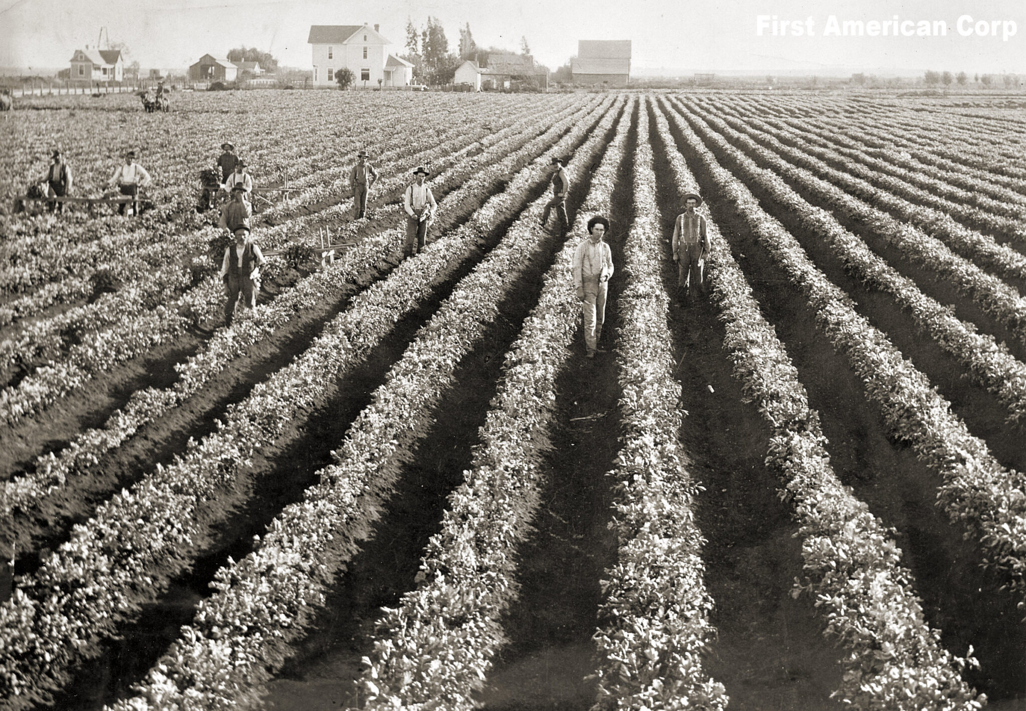 Westminster’s History and Its Influence on Orange County – Orange ...