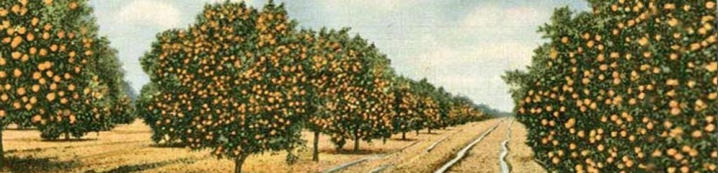 A Brief History of Orange County – Orange County Historical Society